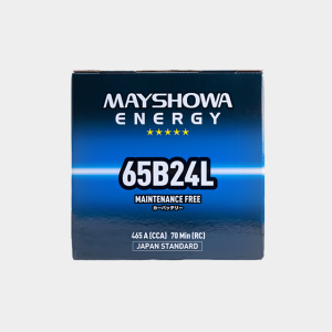 High-Performance Maintenance-Free Car Batteries by Mayshowa Energy